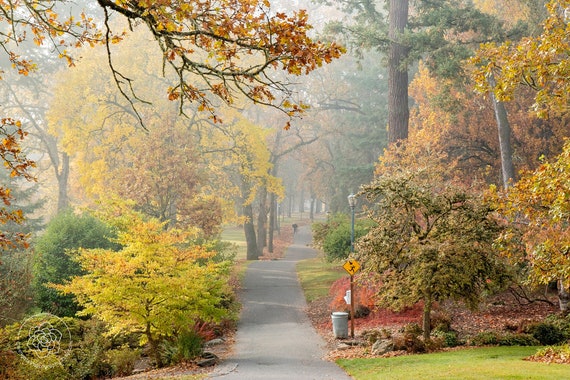 Oregon Photo Print Bush Park Salem Bush Pasture Park in | Etsy