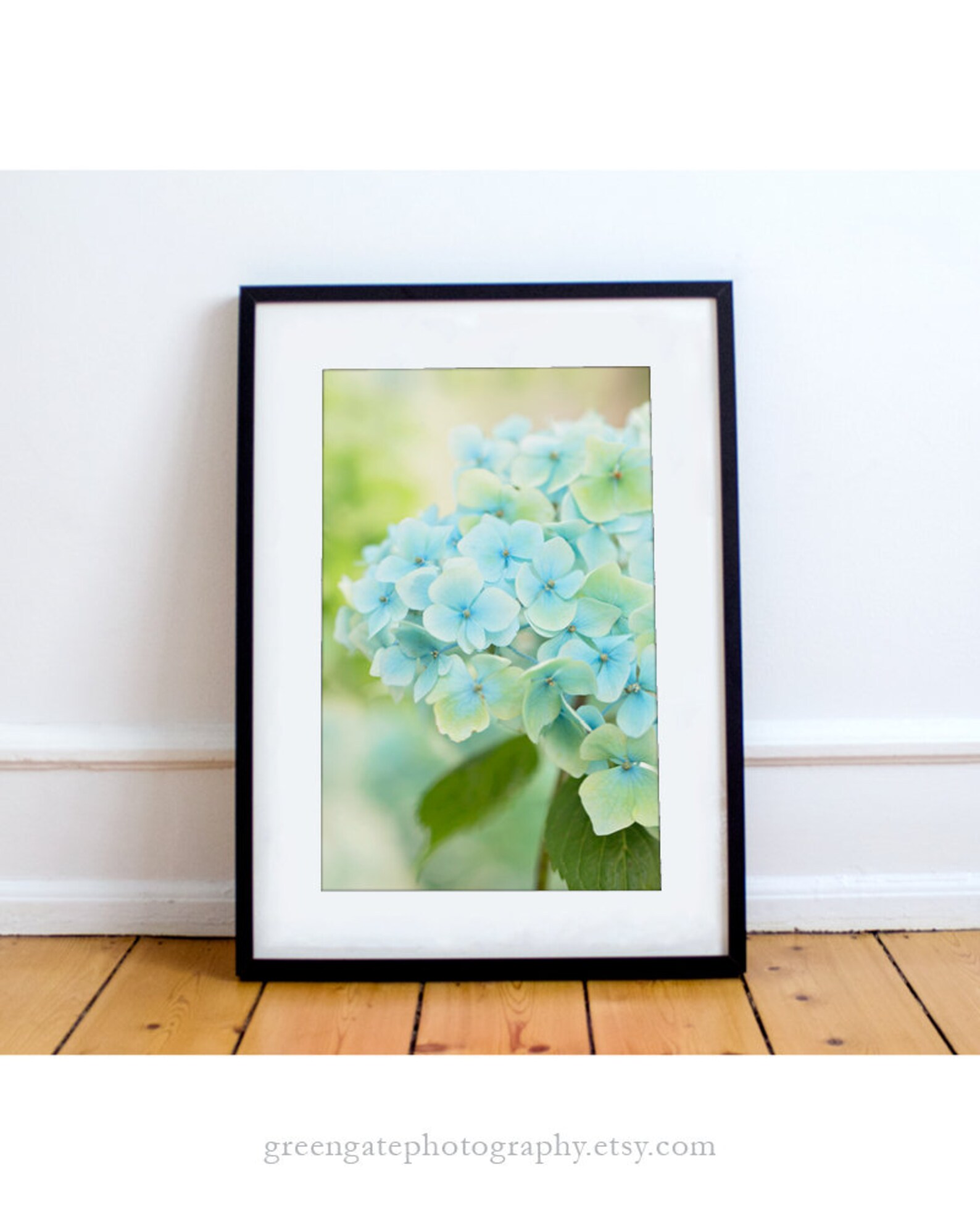 Hydrangea Photo Print Flower Photography Hydrangeas Art - Etsy