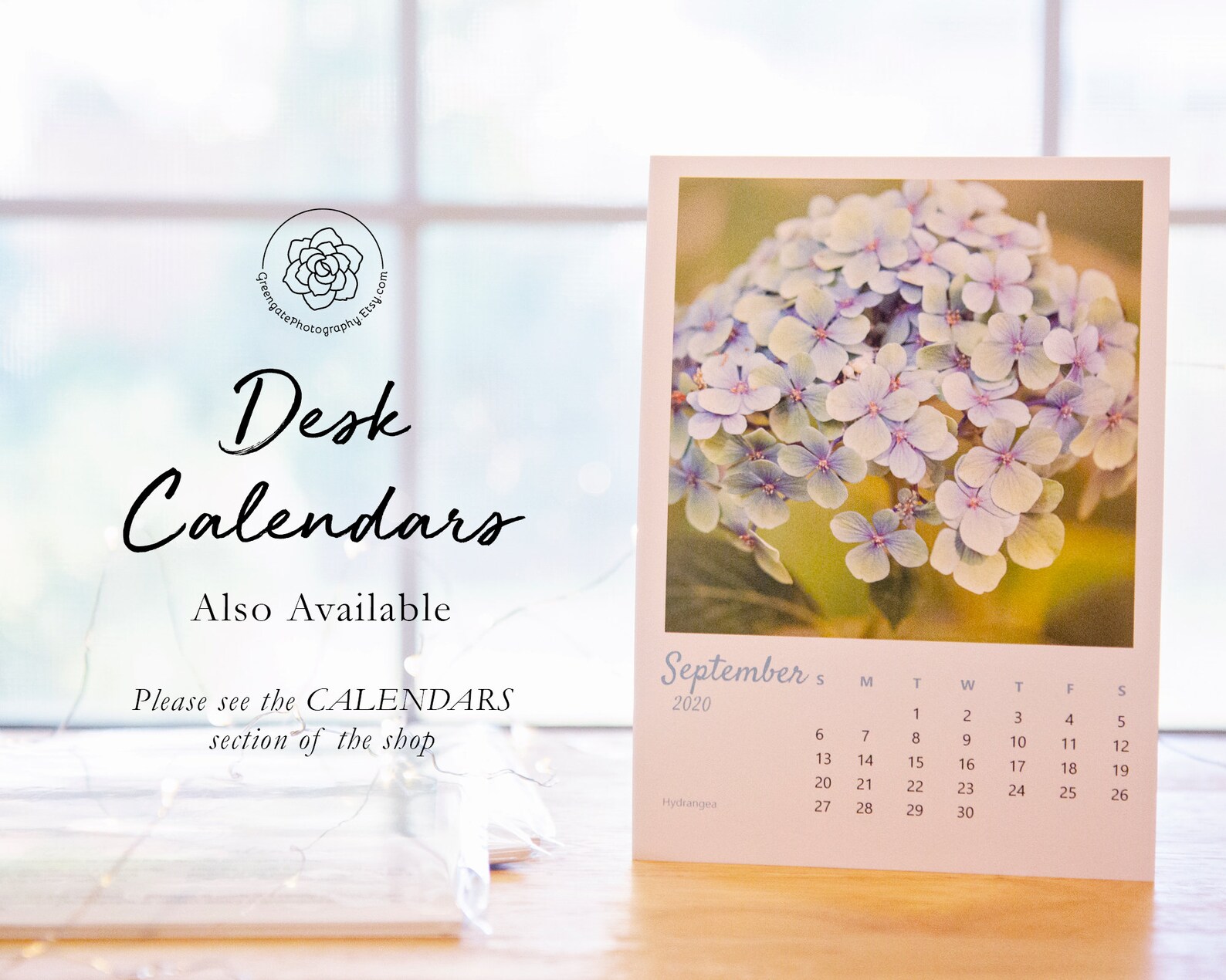Hydrangea Photo Print Flower Photography Hydrangeas Art - Etsy