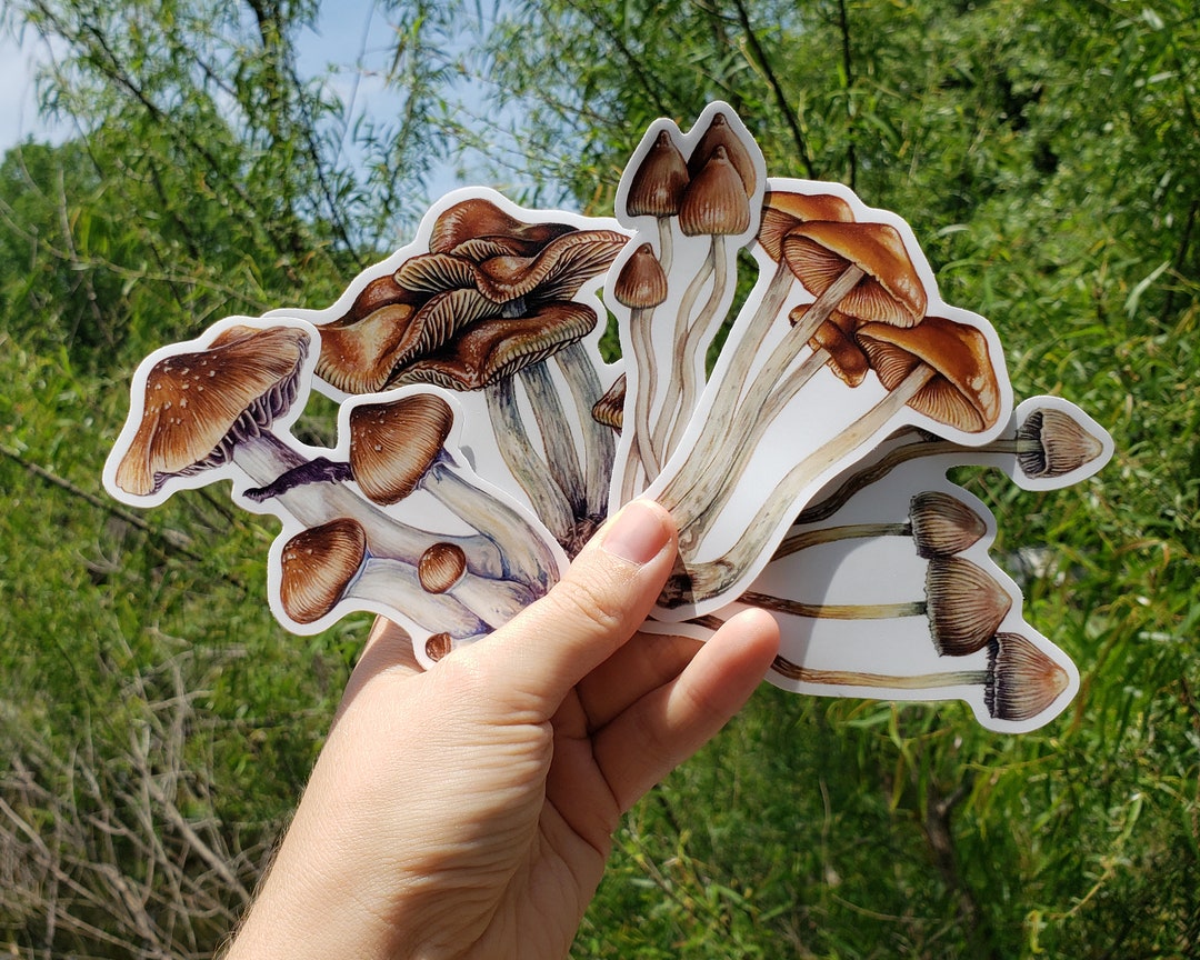 Psilocybe Magic Mushrooms Sticker Pack 5 Vinyl Stickers Liberty Caps ...