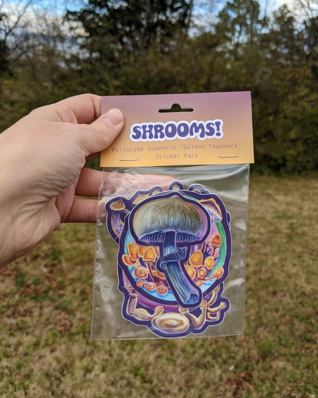 Shrooms! Psyilocybe Cubensis "golden Teacher" Sticker Pack - Etsy