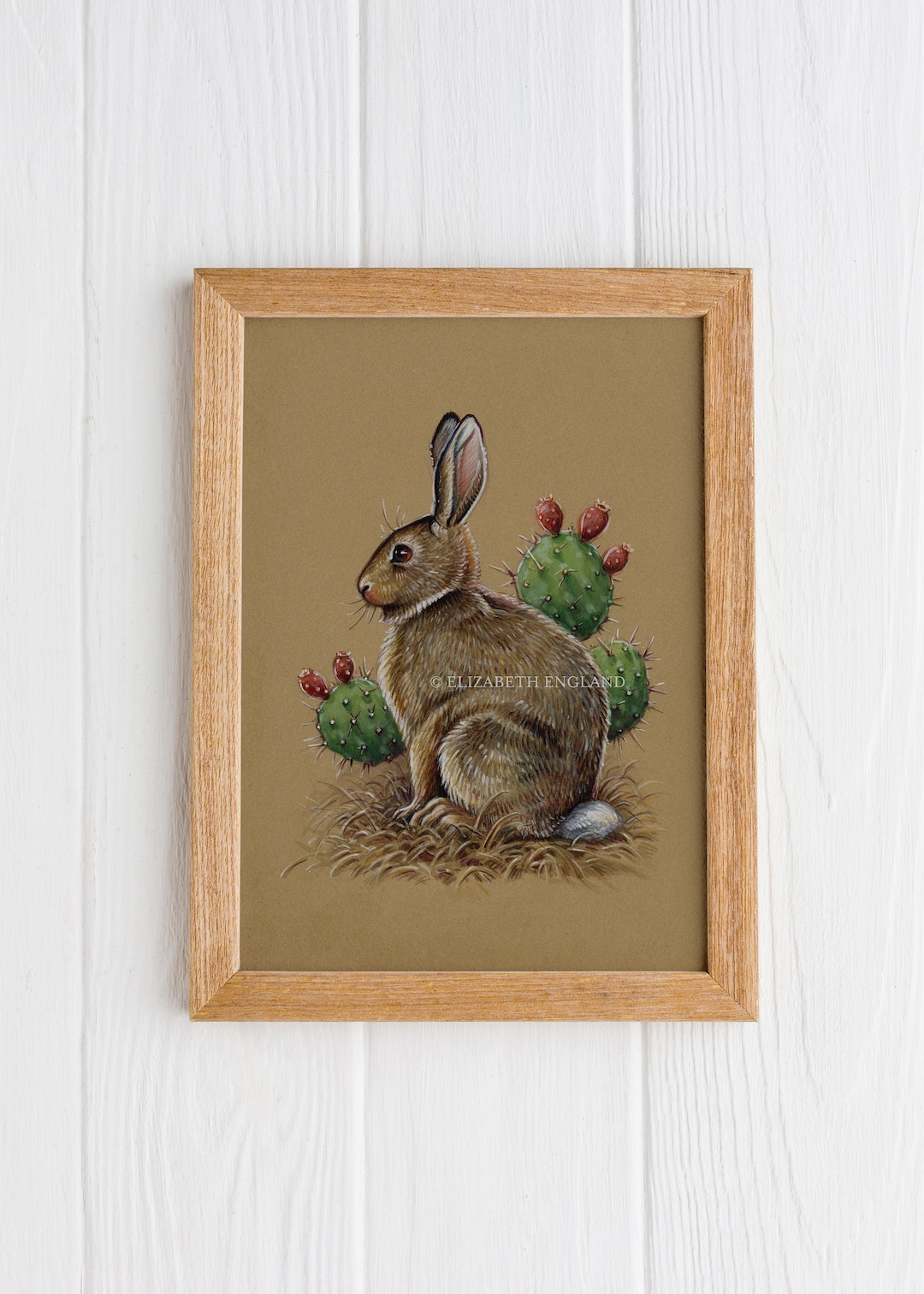 Cottontail and Cactus (wild Rabbit With Prickly Pear) - 5x7" Original ...