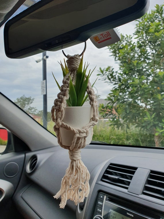 Tiny plant holders for car store