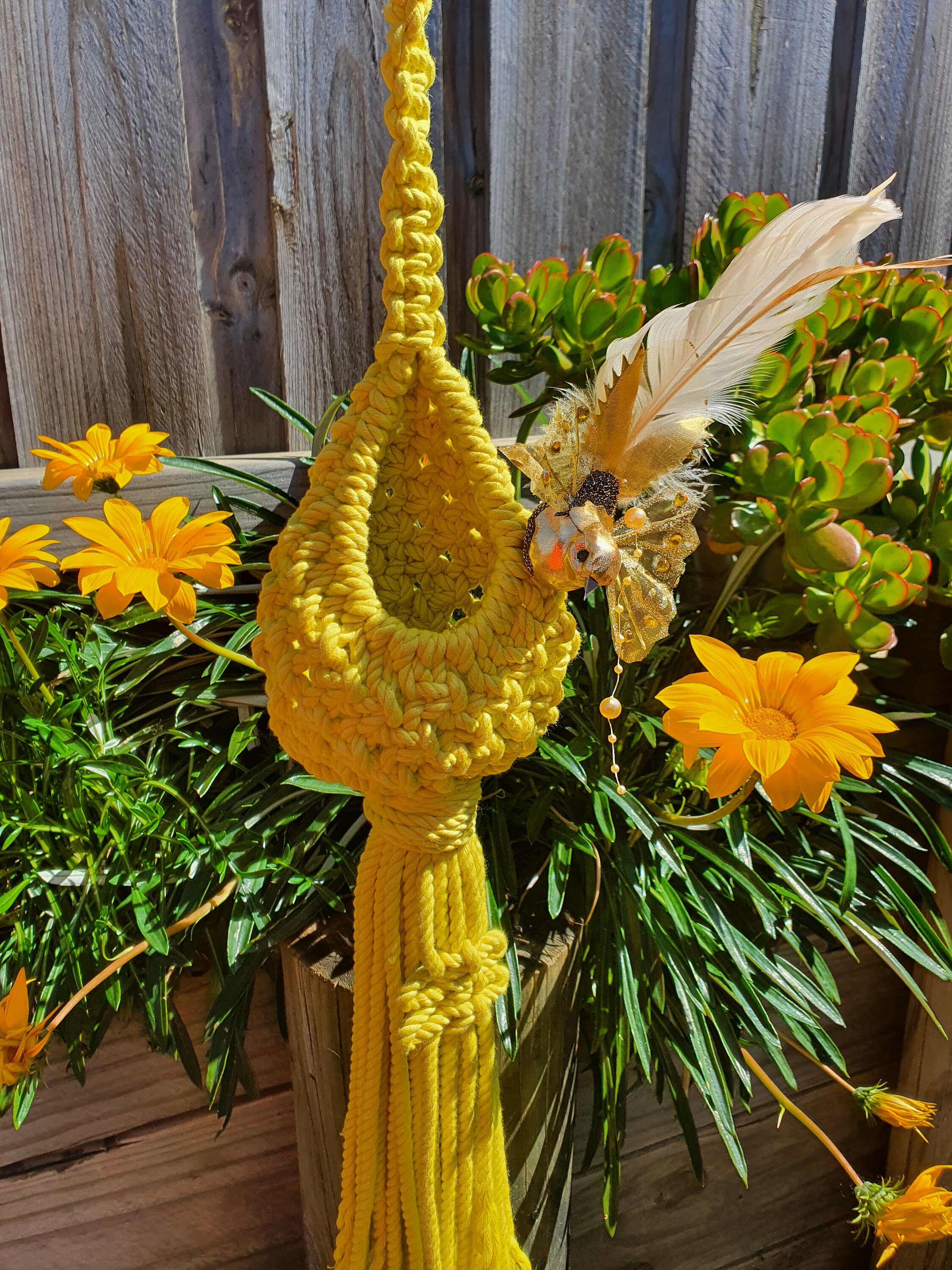 Macrame pod//air plant hanger// Macrame Air Plant Pod / Macrame Air ...