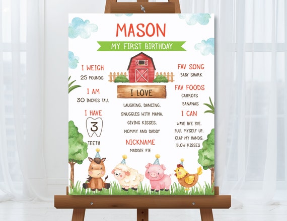Farm birthday decorations Barnyard Party Decorations Birthday Milestone ...