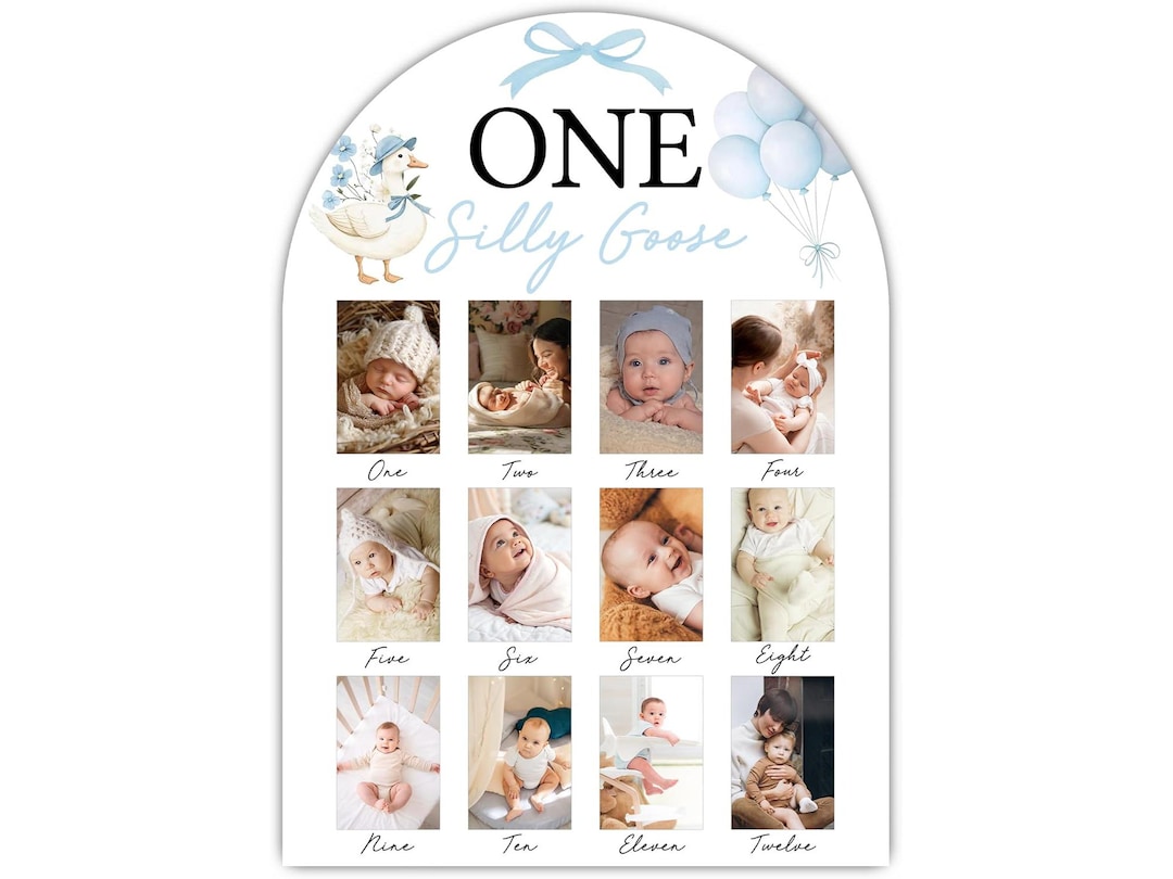 One Silly Goose Photo Board, Boys Blue Goose First Year Photo Display ...
