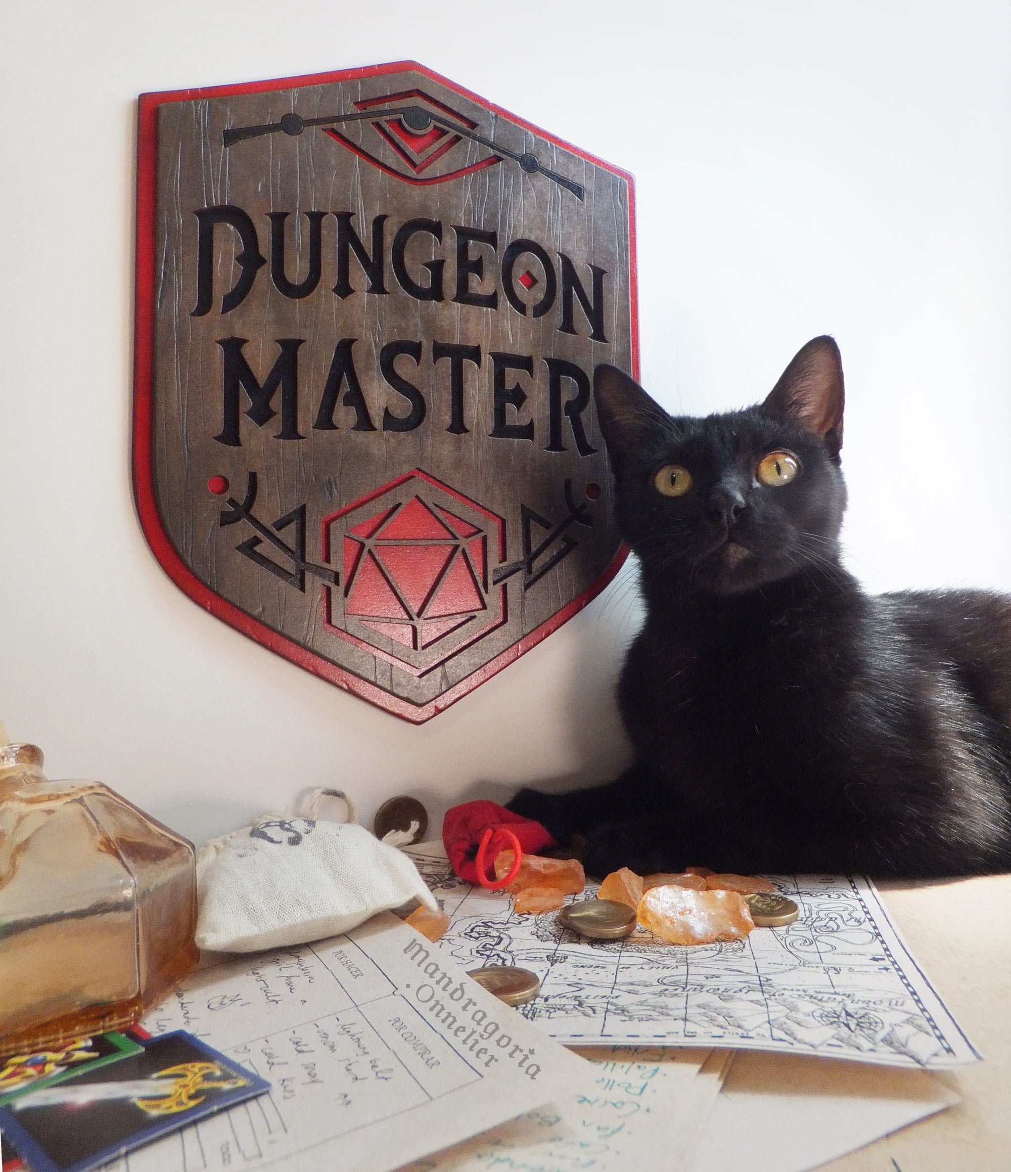 Dungeon Master Sign Medieval Fantasy Home Decor D&D Gifts - Etsy