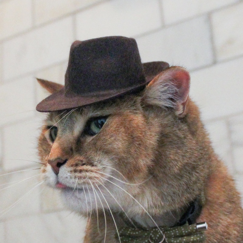 Indiana Jones Fedora Hat - Etsy