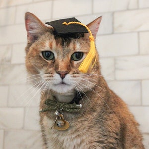 Mini-Sized Graduation Cap Cat Hat for your cat FREE SHIPPING | Etsy