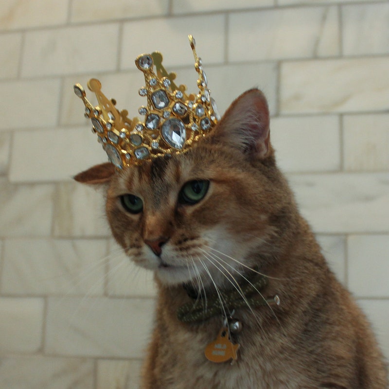 Cat Crown - Etsy