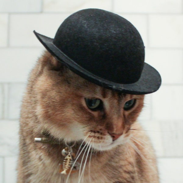 Cat Hat - Etsy