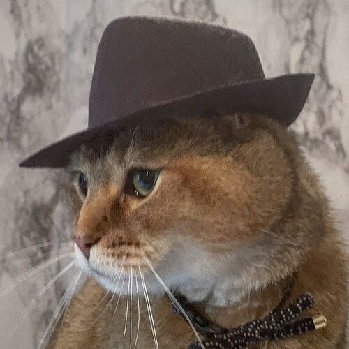 Large Indiana Jones Fedora for Your Cat Indiana Jones Hat for - Etsy