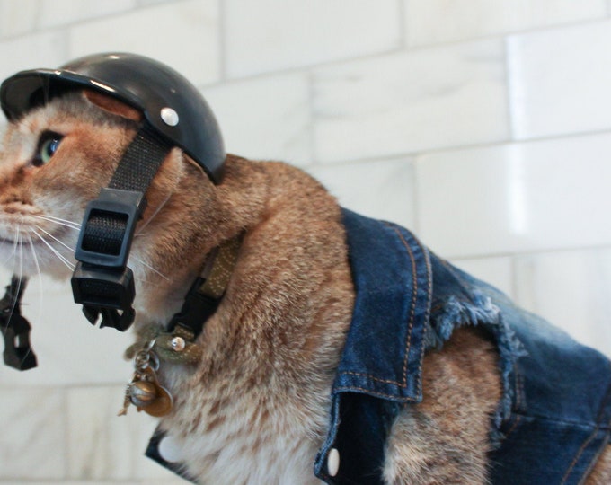 Helmet for Cat Cat Hat Helmet - Etsy