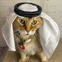 Cat Ear Balaclava Sheisty Cat Ski Mask Pink Cat Balaclava Sheisty Cat ...