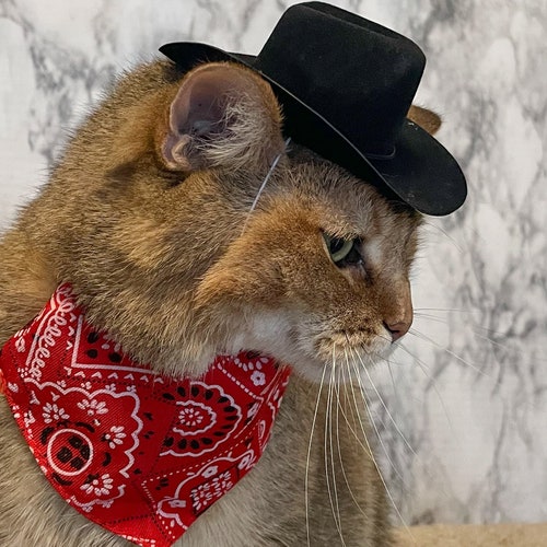 MINI Pink Cowboy Cat Hat FREE SHIPPING - Etsy