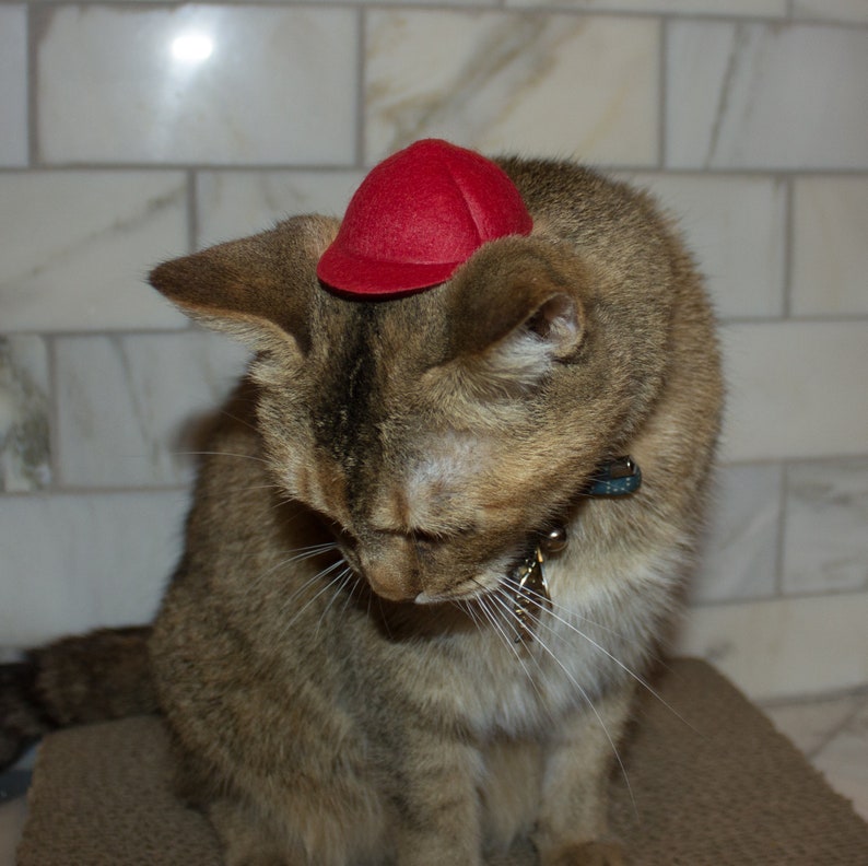 Red Baseball Cap for Your Cat - Cat Hat - Etsy