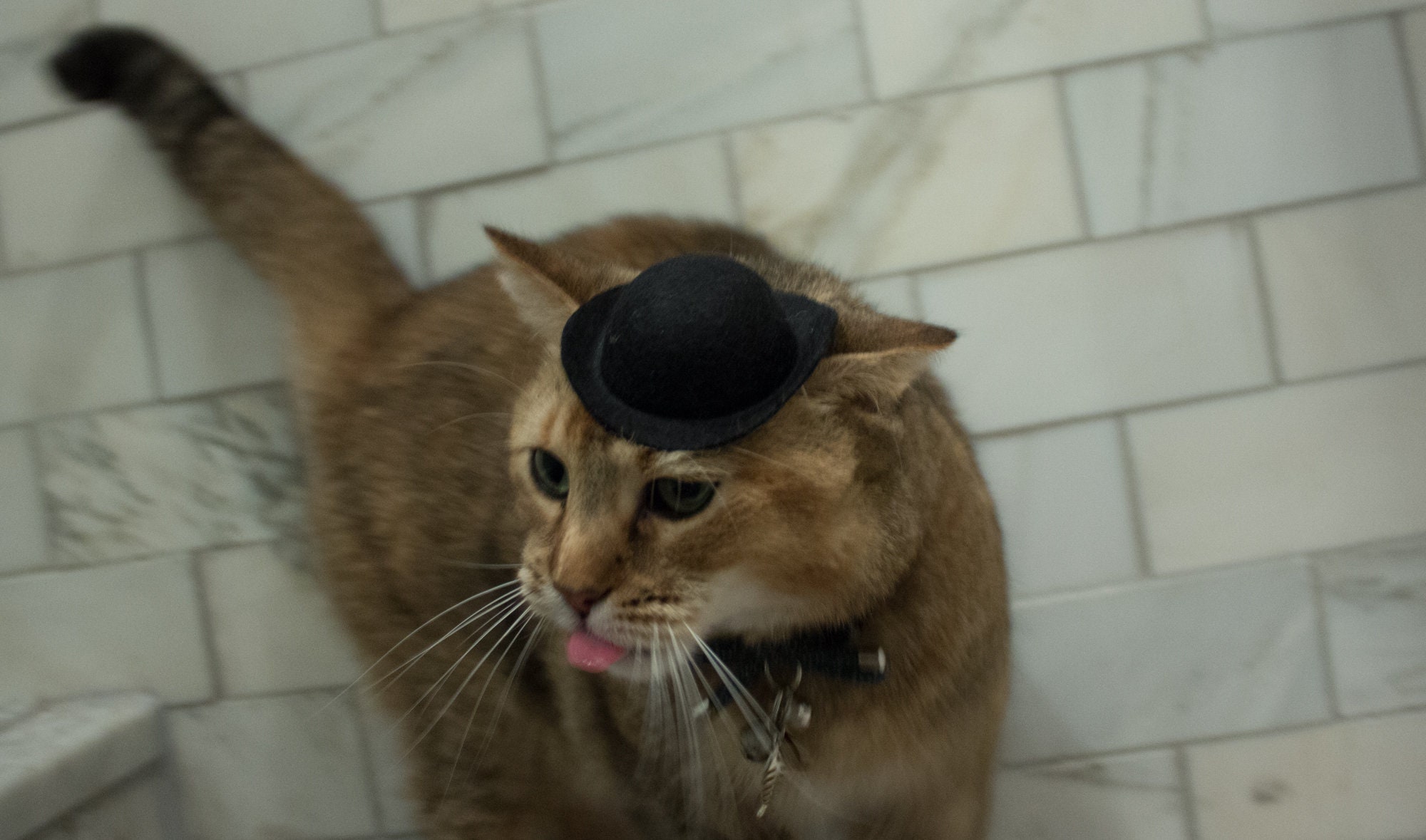 The Outlaws Renegades and Misfits Collection of Western Gang - Etsy