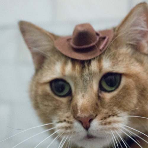 MINI Pink Cowboy Cat Hat FREE SHIPPING - Etsy