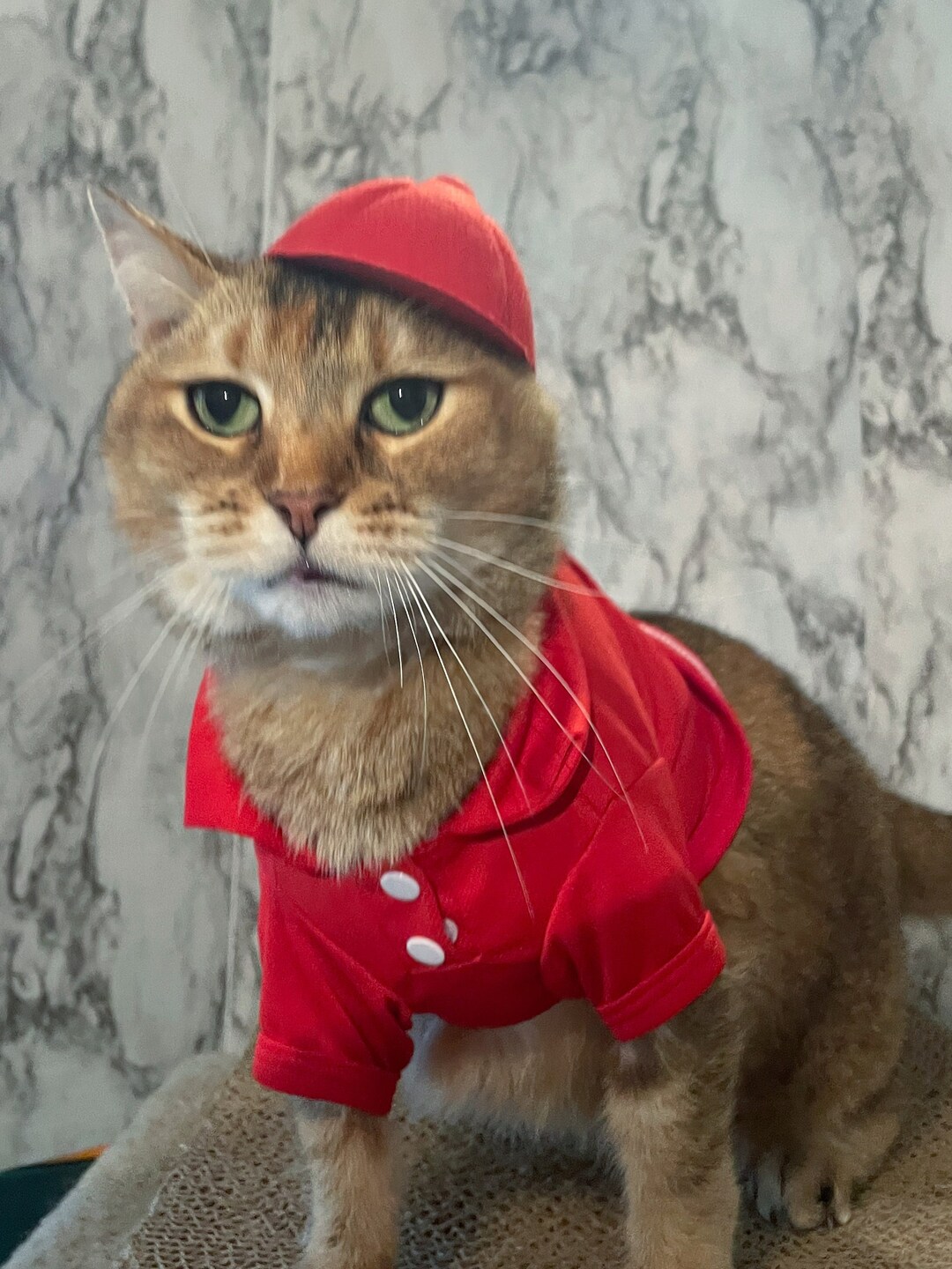 Mid Size Red Baseball Cat Hat Baseball Cap Backwards Hat Fred Durst ...