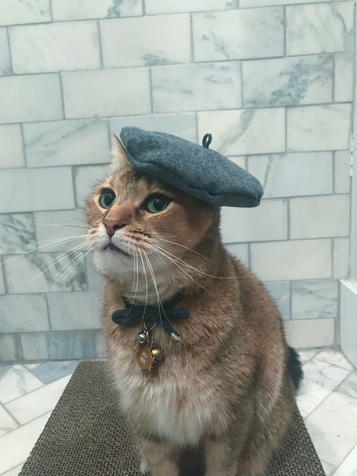 Gray Beret Hat for Your Cat FREE SHIPPING - Etsy