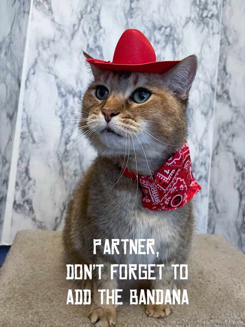 Red Cowboy Cat Hat for Your Cat - Etsy