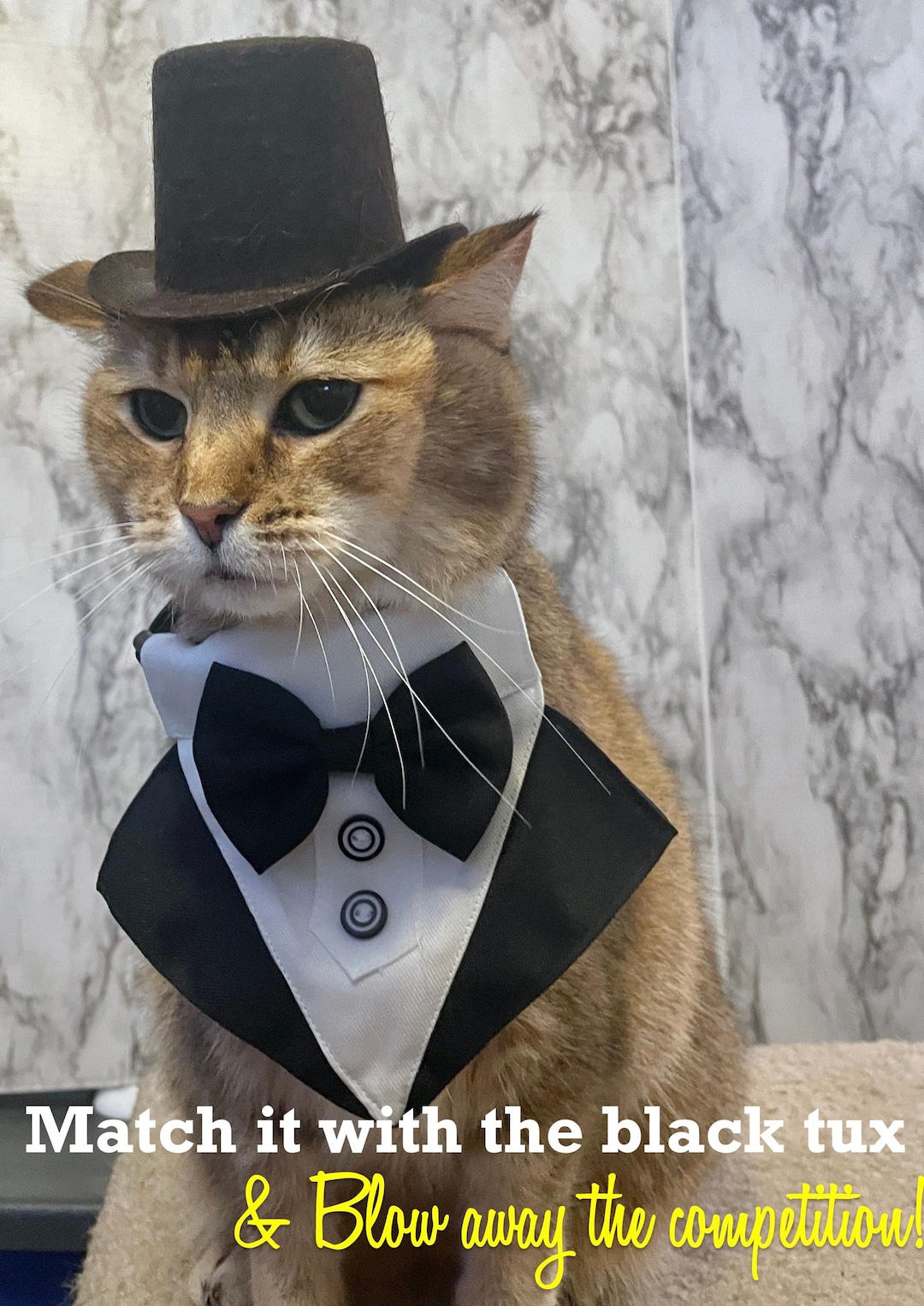Dark Brown Large Top Hat Cat Hat FREE SHIPPING - Etsy