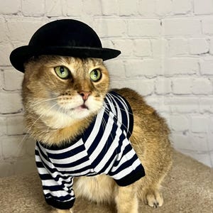 LARGE Black Bowler Cat Hat-- Tough Guy Cat Hat FREE SHIPPING - Etsy Canada