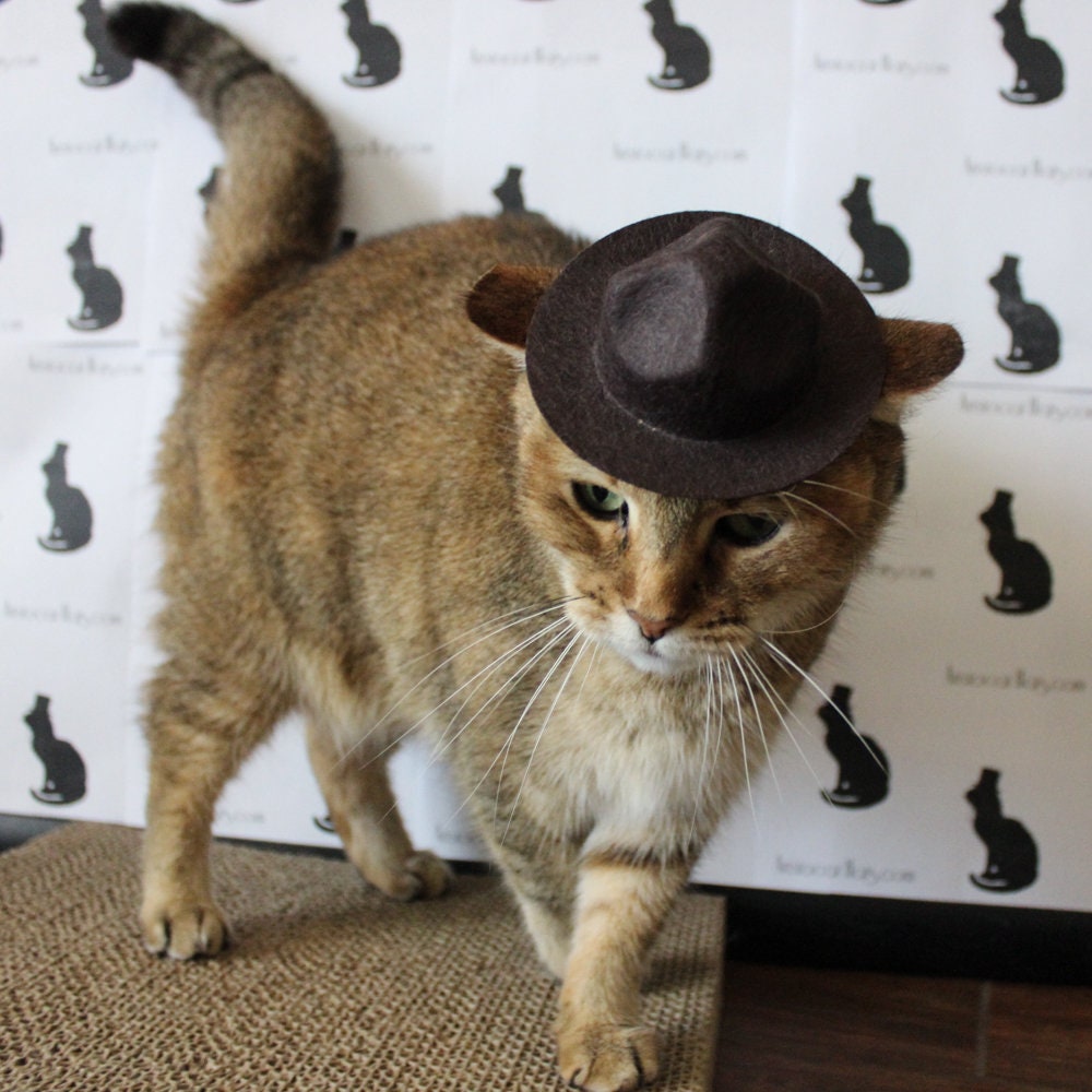 Trooper Cat Hat for Your Cat, Ranger Hat for Your Cat - Etsy