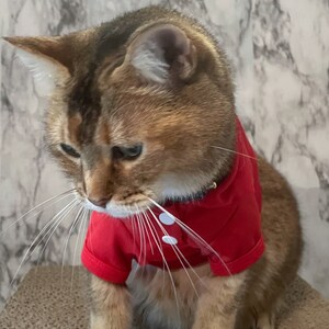 Big Red Baseball Cat Hat - Baseball Cap - Backwards Hat - Etsy