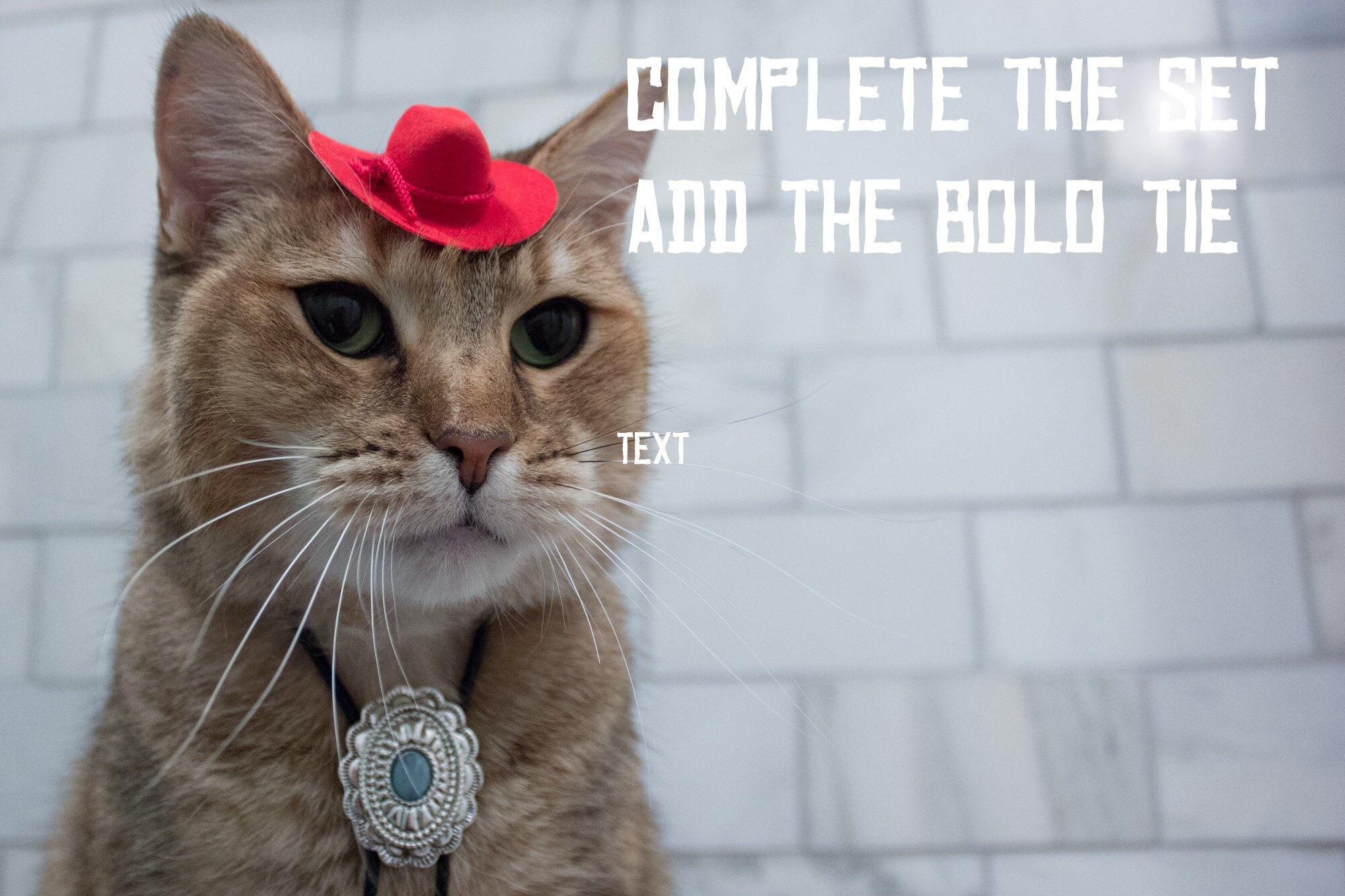 MINI-Red Cowboy Cat Hat for your Cat | Etsy