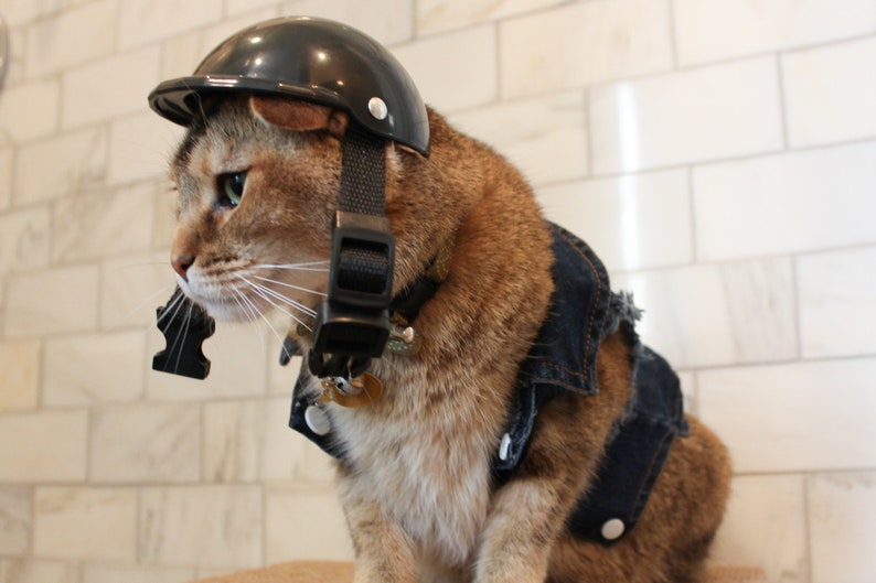 Helmet for Cat - Cat Hat Helmet - Etsy