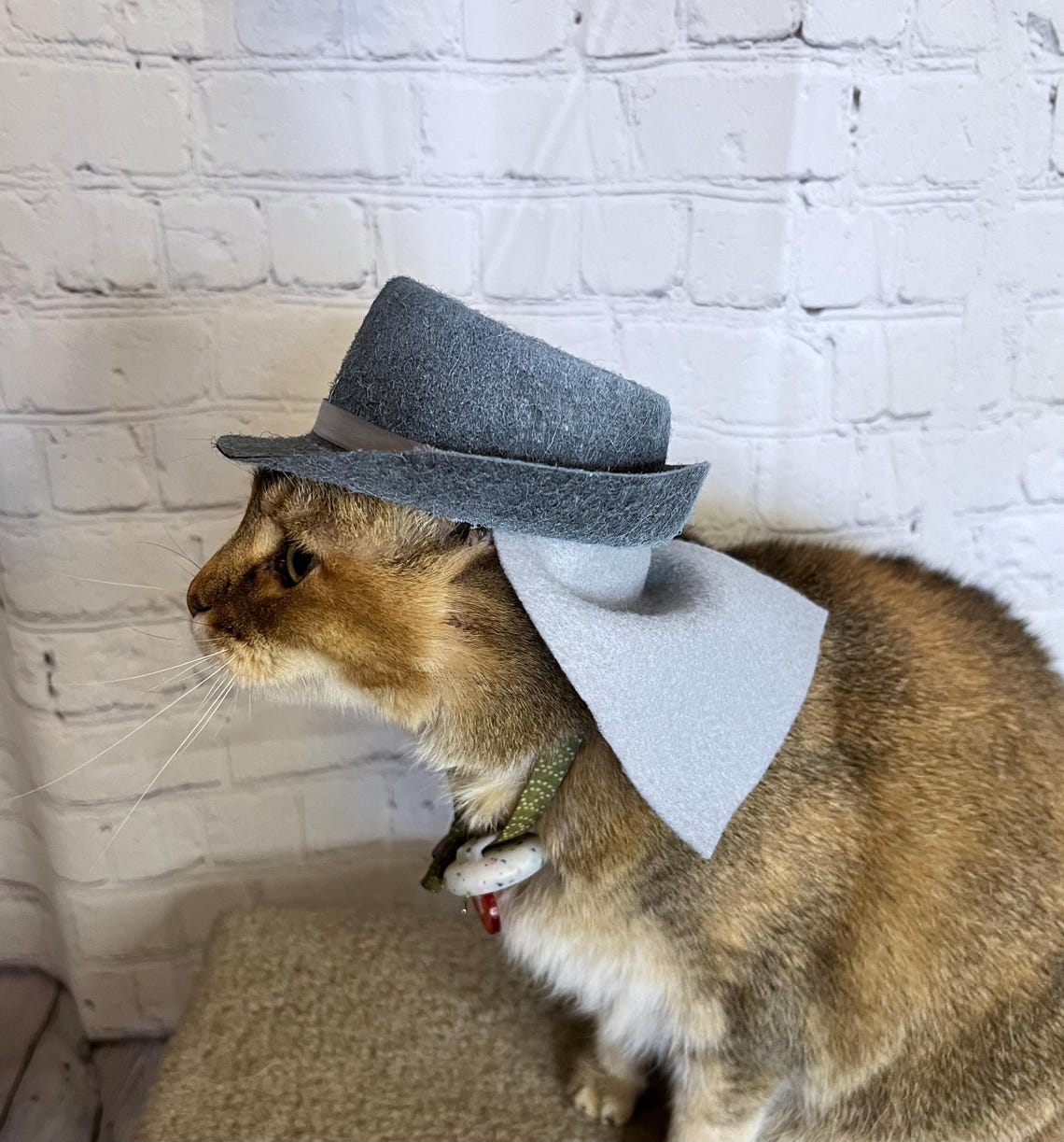 Fedora With Safari Flaps in the Back - for a Cat - Brian's Hat - Cat ...