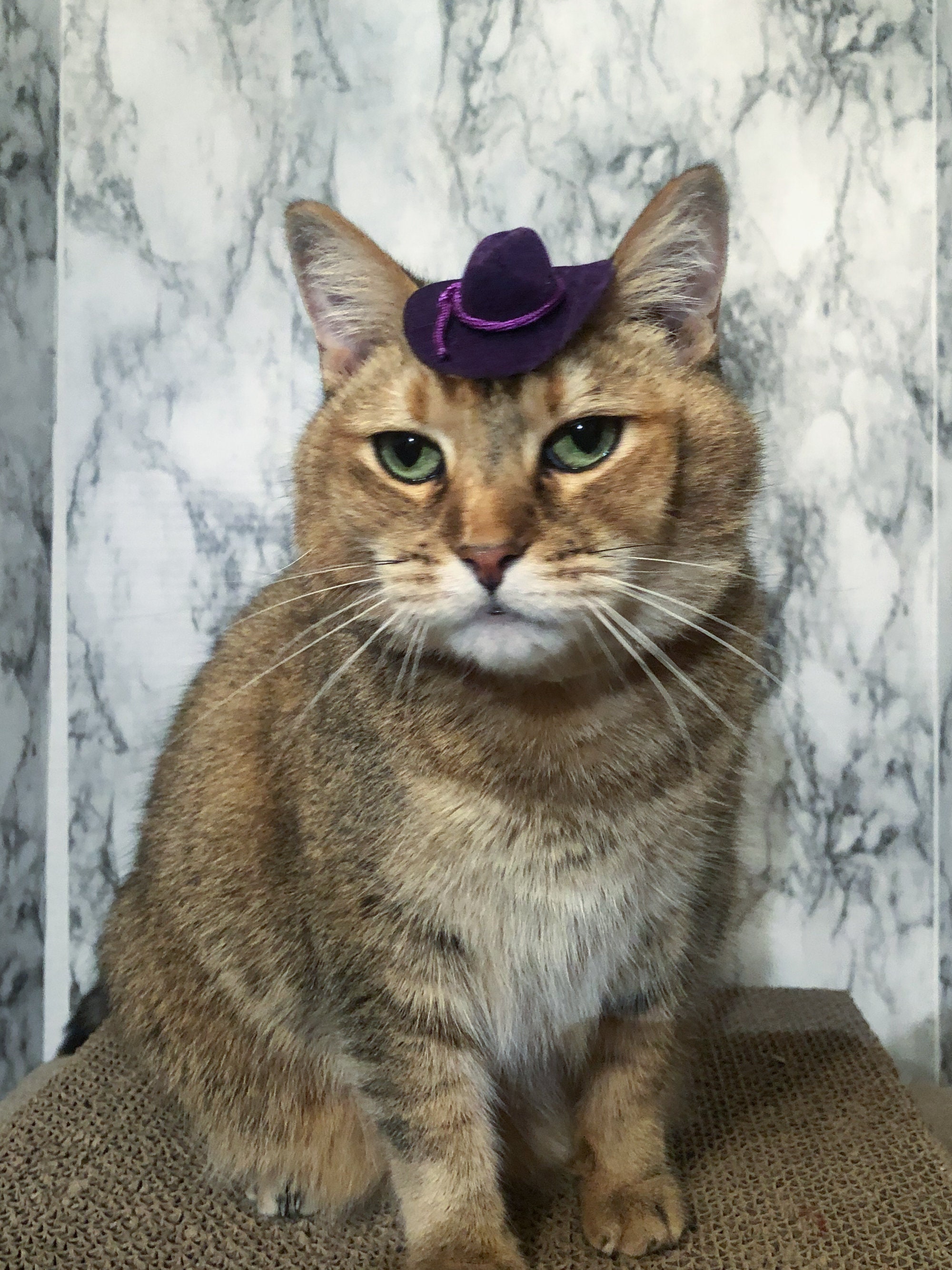 MINI Purple Cowboy Cat Hat for Your Cat or Dog - Etsy