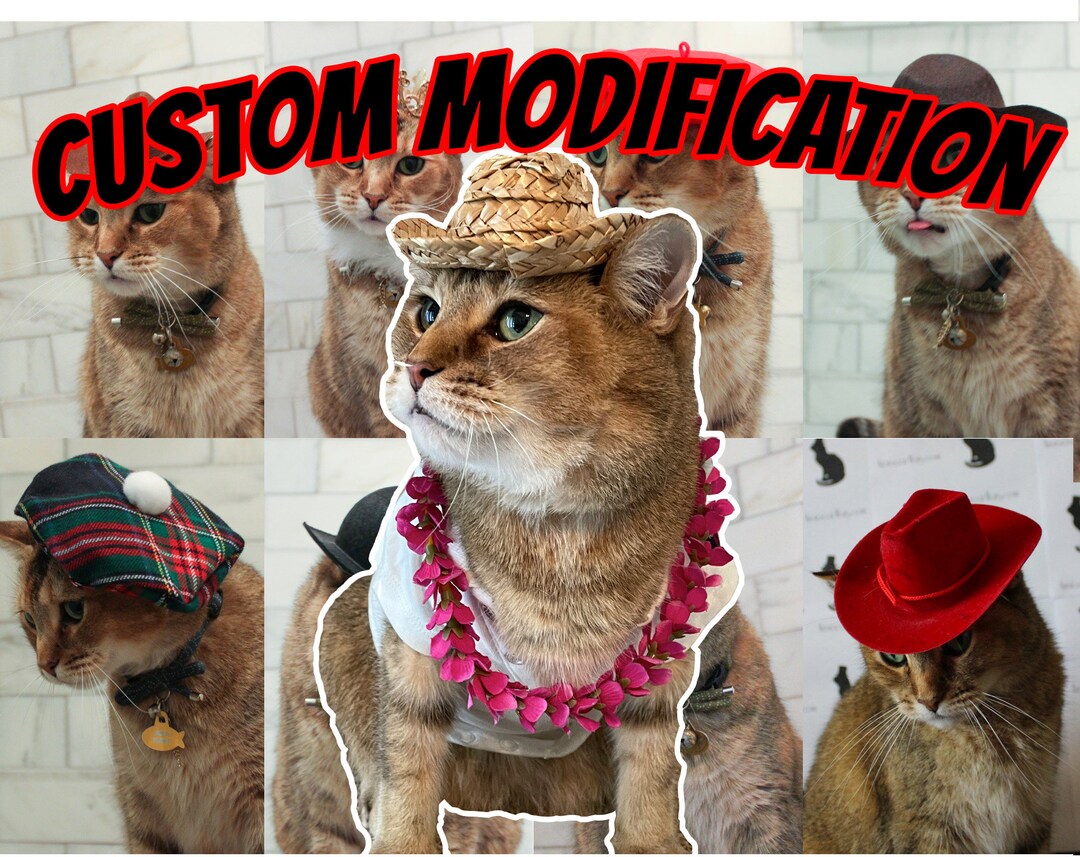 Custom Cat Mod (only Purchase If Discussed With Shop Owner) - Etsy