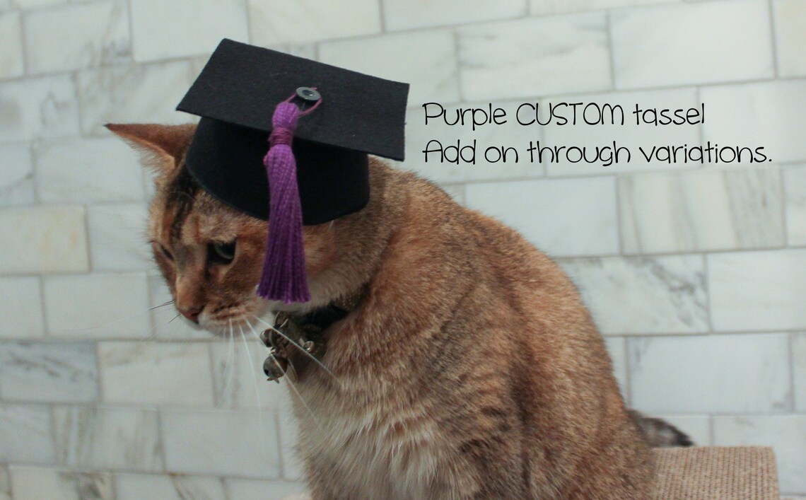 Graduation Cap Cat Hat for Your Cat FREE SHIPPING Add-on | Etsy