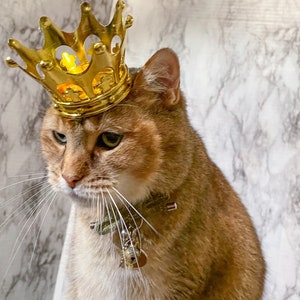 Light Cat Crown Cat King or Queen Crown for Cat Crown for - Etsy Canada
