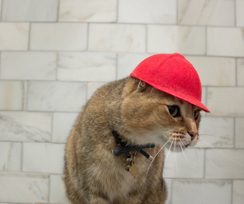 Big Red Baseball Cat Hat Baseball Cap Backwards Hat - Etsy