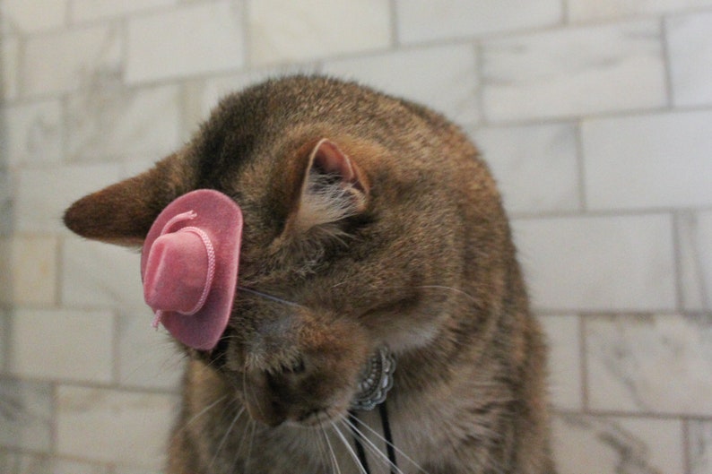 MINI Pink Cowboy Cat Hat FREE SHIPPING - Etsy