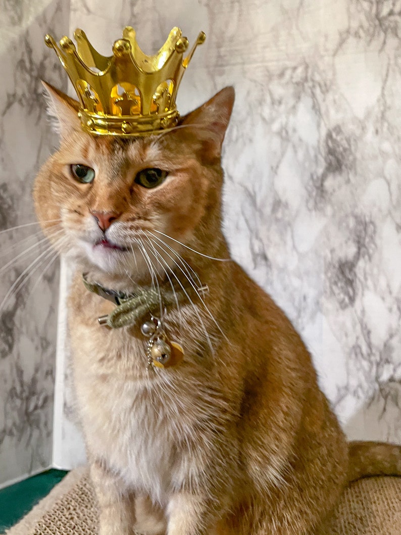 Light Cat Crown Cat King or Queen Crown for Cat Crown for - Etsy