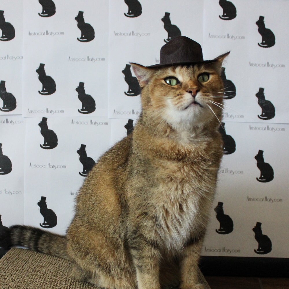 Trooper Cat Hat for Your Cat Ranger Hat for Your Cat - Etsy