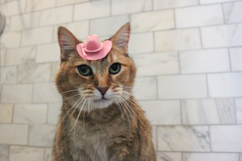 MINI Pink Cowboy Cat Hat FREE SHIPPING - Etsy
