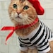 Complete French Cat Outfit- Cat Beret, Ascot and Striped Shirt Pet ...