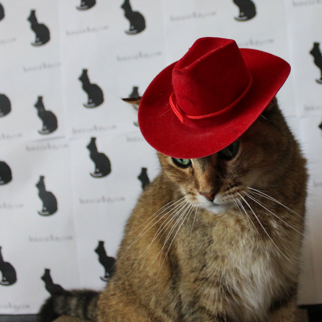 Red Cowboy Cat Hat for Your Cat - Etsy