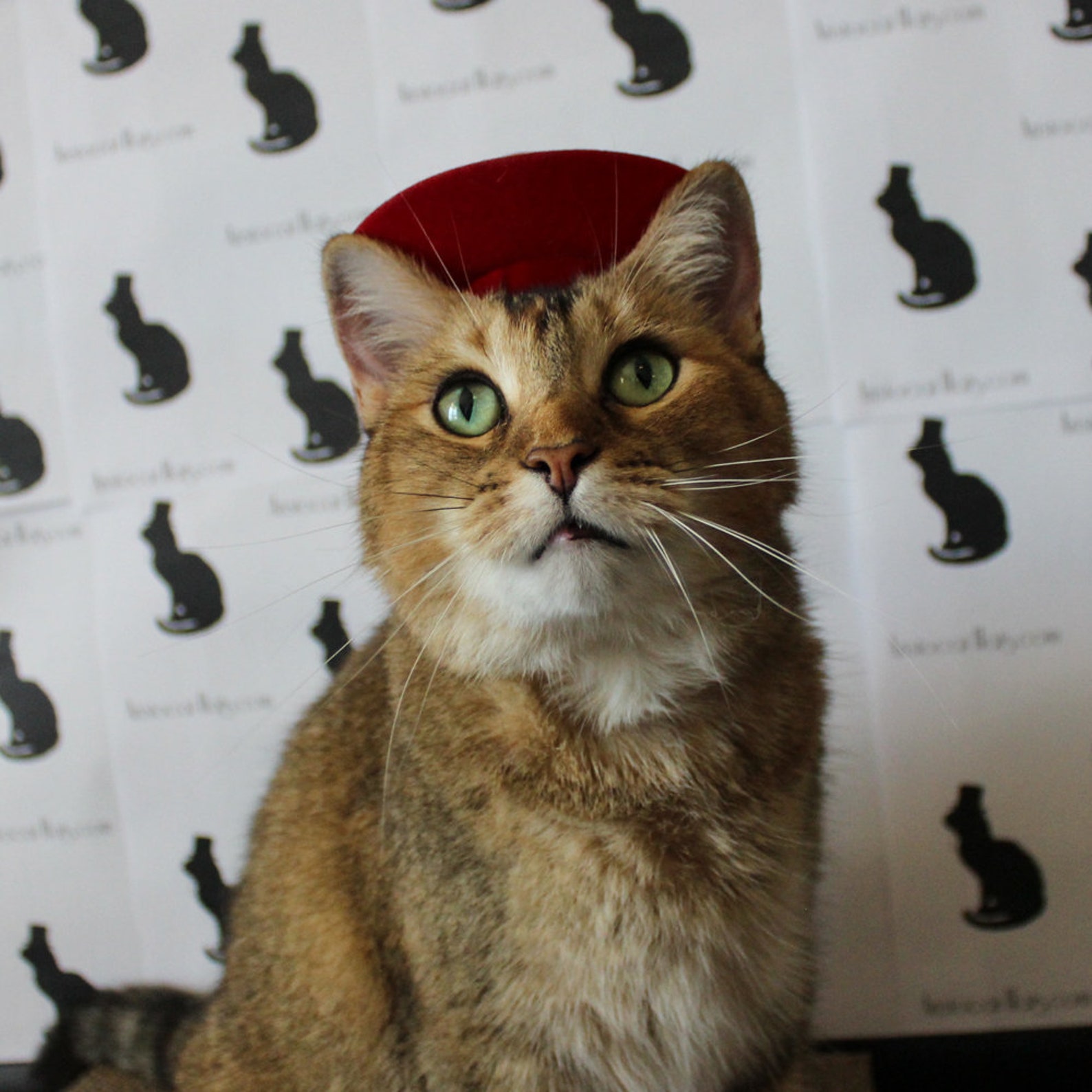 Red Cowboy Cat Hat for Your Cat - Etsy