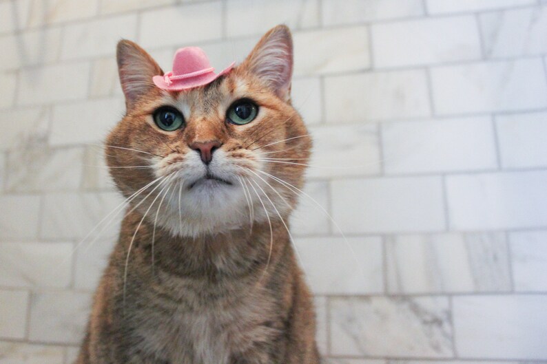 MINI Pink Cowboy Cat Hat FREE SHIPPING - Etsy