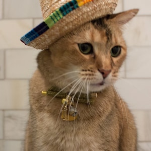 Cat Sombrero Mexican Cat Hat Dog Hat FREE SHIPPING - Etsy