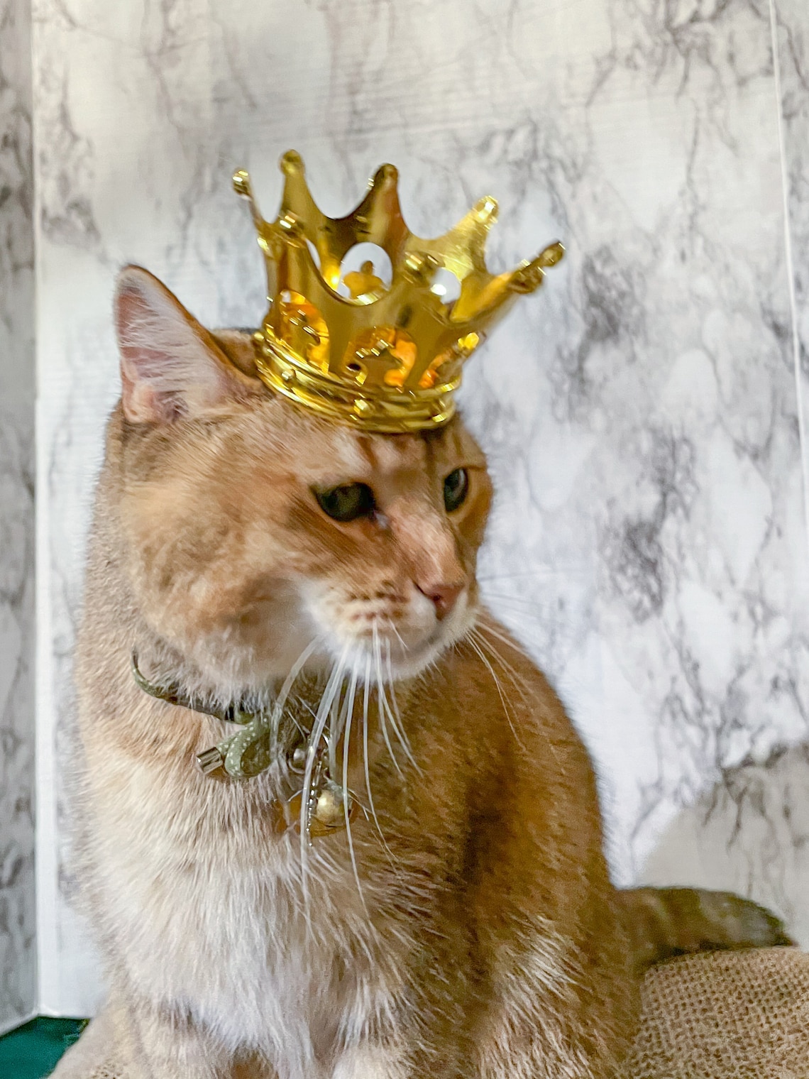 Light Cat Crown Cat King or Queen Crown for Cat Crown for - Etsy