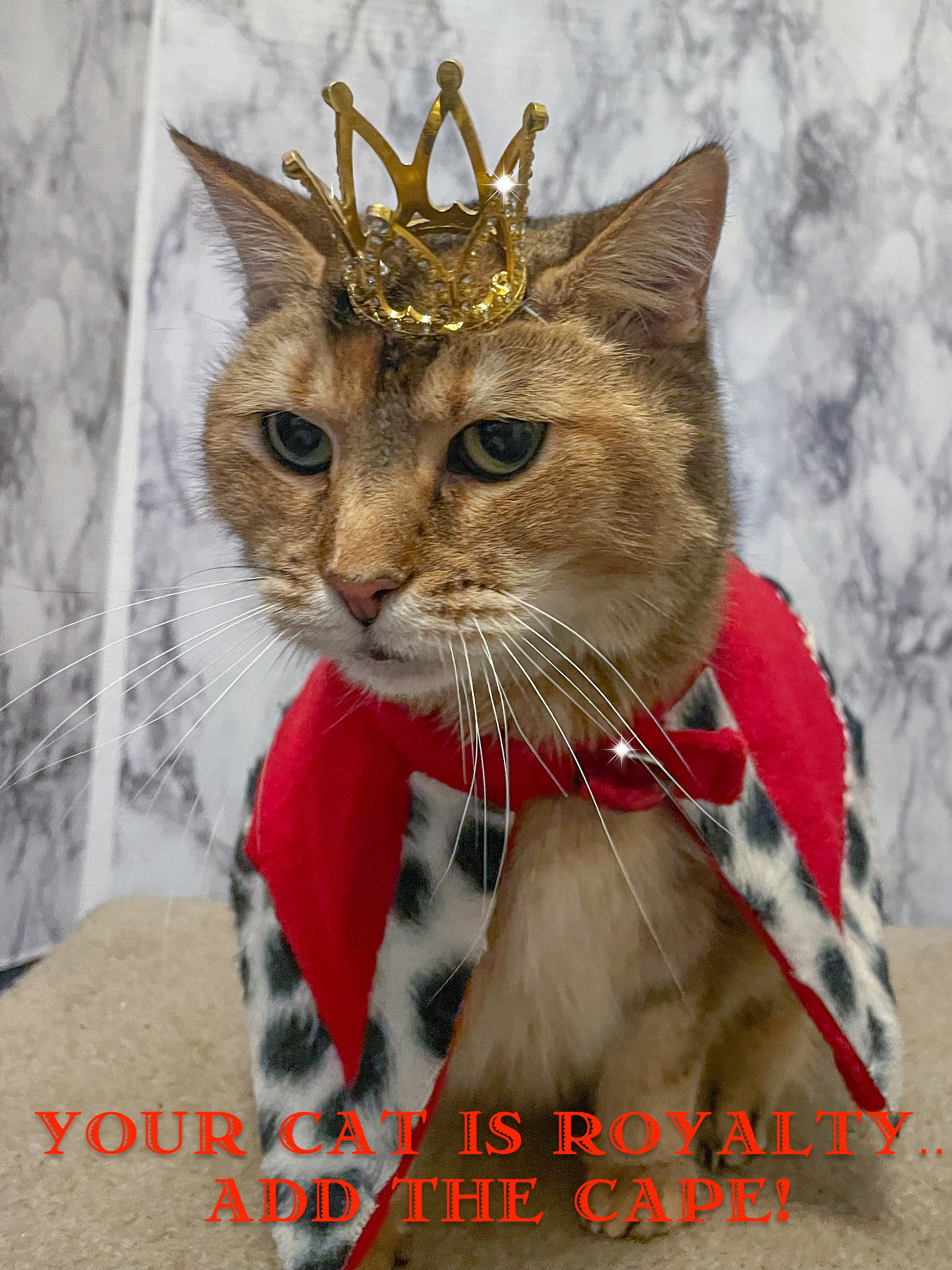 Mini Gold Metal Cat Crown Cat King or Queen Crown for Cat - Etsy