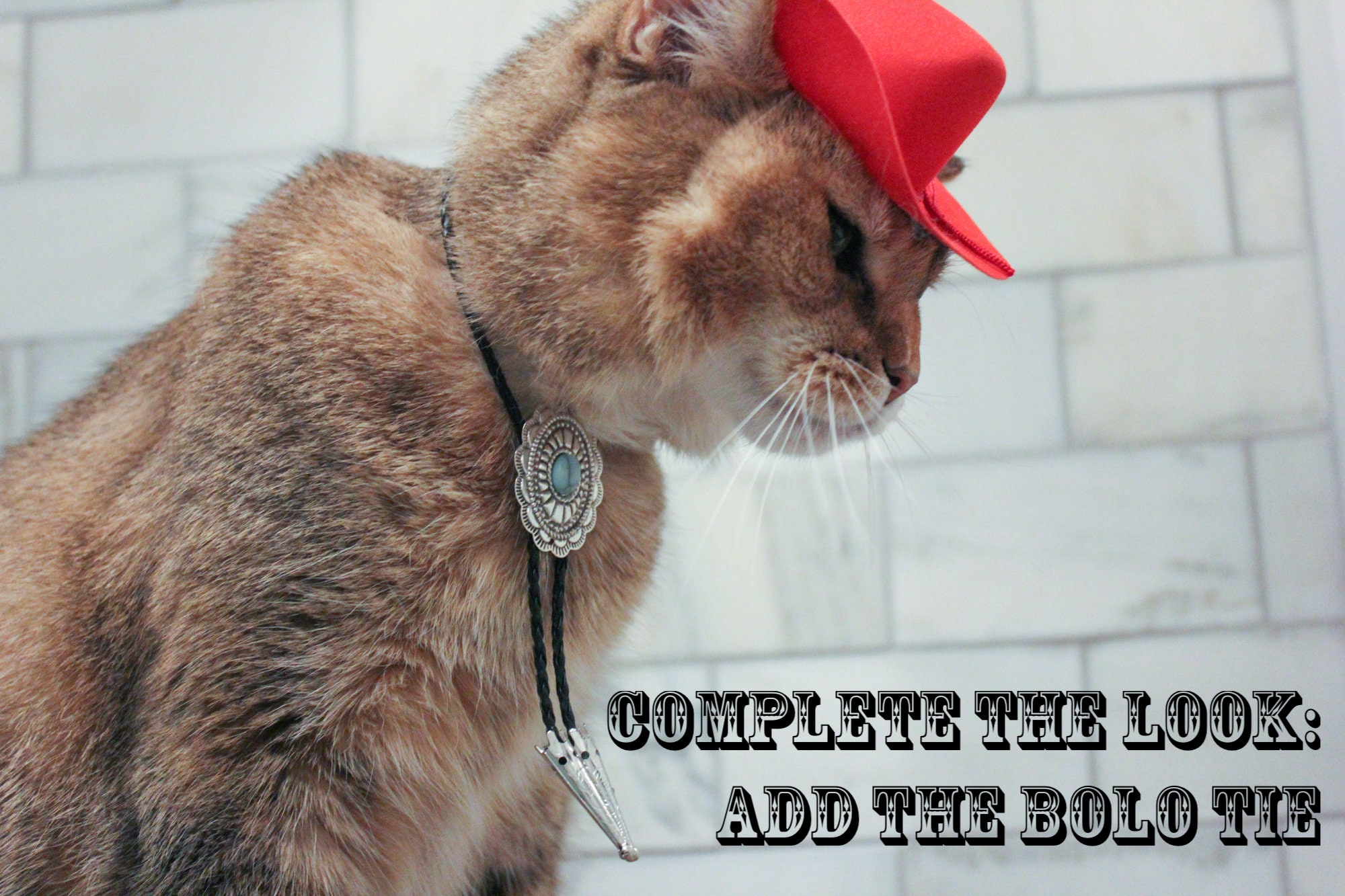 Red Cowboy Cat Hat for Your Cat - Etsy