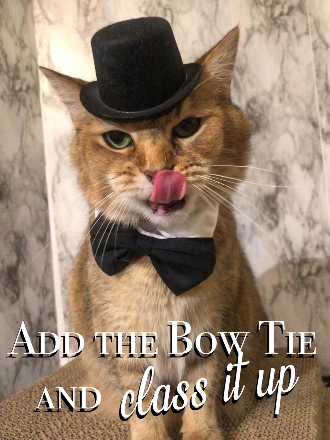 Black Top Hat Cat Hat FREE SHIPPING - Etsy